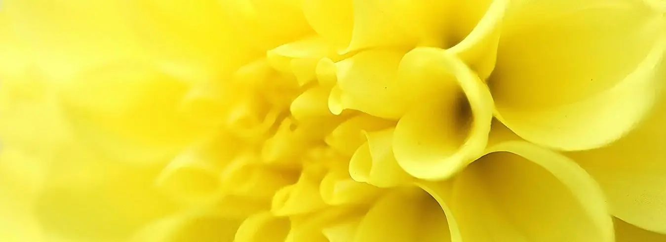 Blog - PotM: TCEP as Versatile Reducing Agent