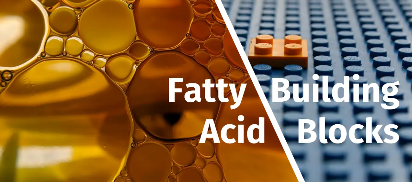 Blog - Fatty Acid Building Blocks