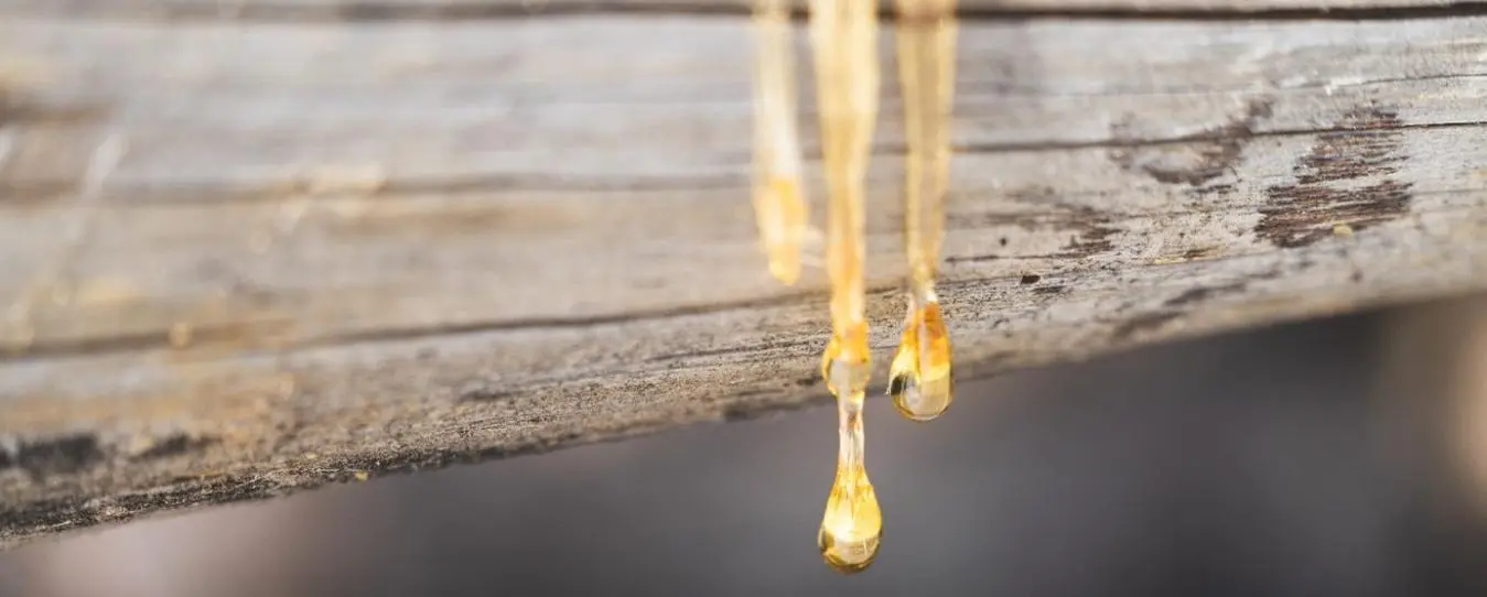 Blog - Resins for Solid Phase Peptide Synthesis (Part 1)