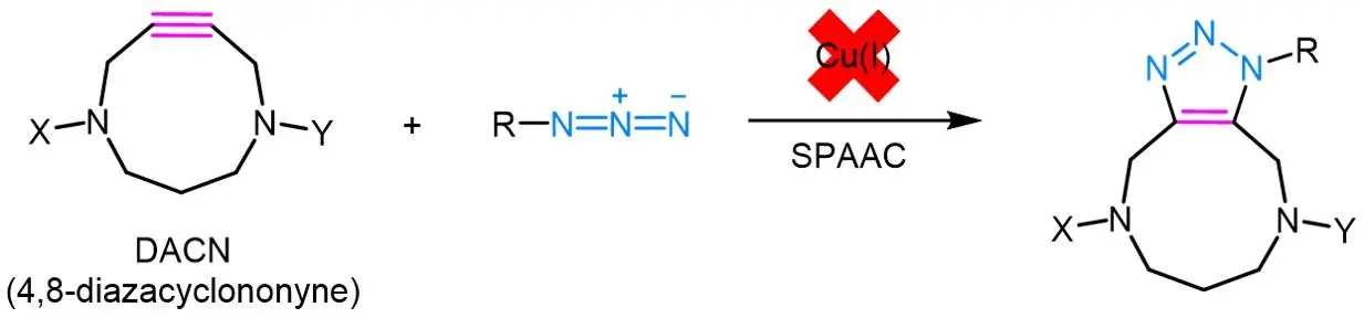 Blog Dacns For Strain Promoted Azide Alkyne Cycloadditions Spaac