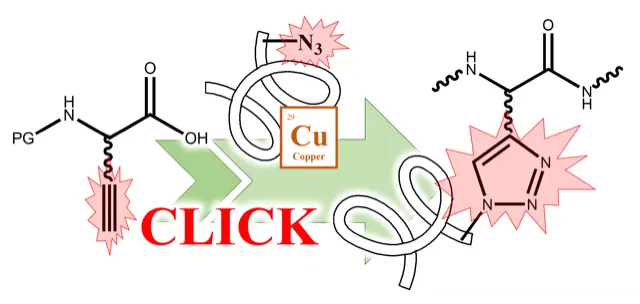Blog - Alkyne Amino Acids for Click Chemistry and other Conjugations: