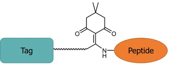 Blog - Product of the Month: Dde-based Linkers