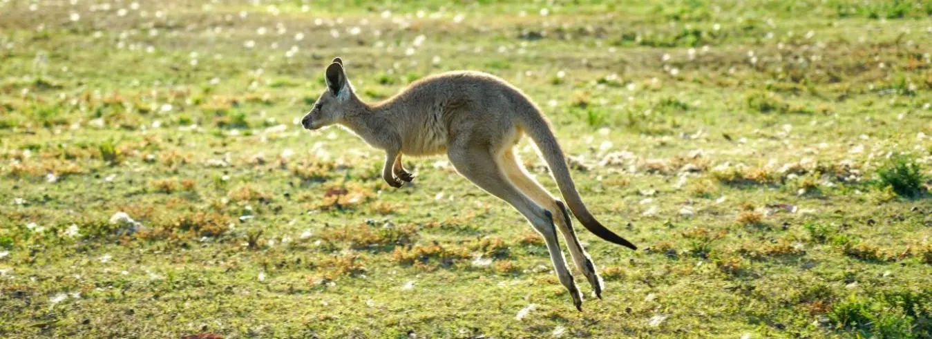 Blog - PotM: Next Generation Lysine Side Chain Protecting Groups