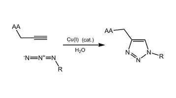 Click Chemistry Tools: Propargyl Amino Acids