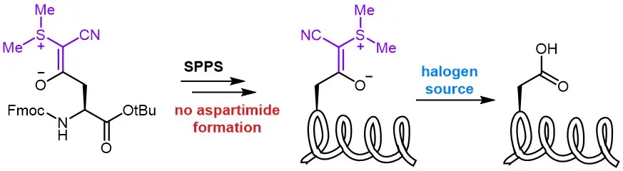 Blog - PotM: Asp(CSY) – Tackling Aspartimide Formation