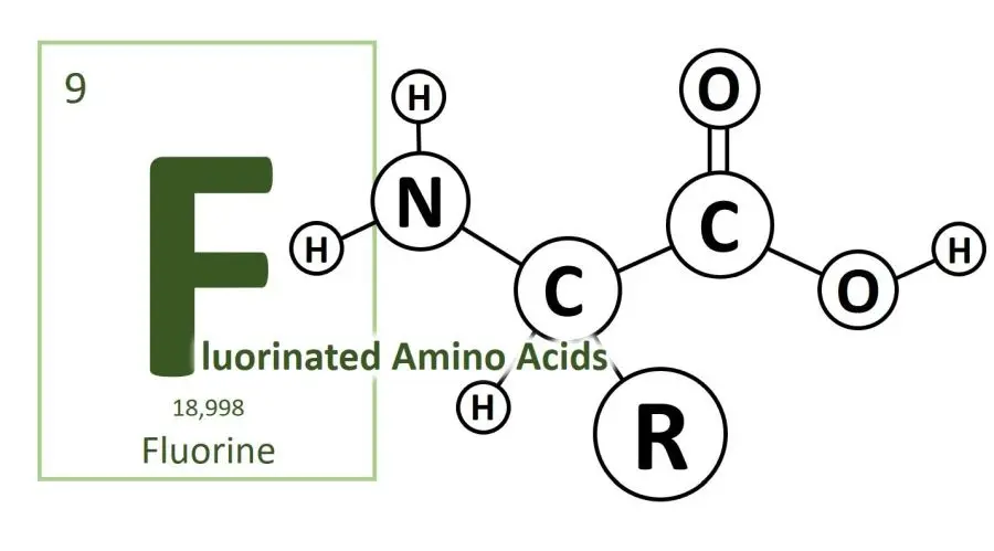 Blog - Product of the Month: Fluorinated Amino Acids