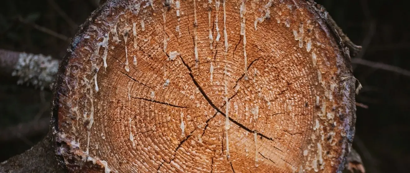 Blog - Resins for Solid Phase Peptide Synthesis (Part 2)