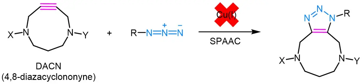 Blog Dacns For Strain Promoted Azide Alkyne Cycloadditions Spaac