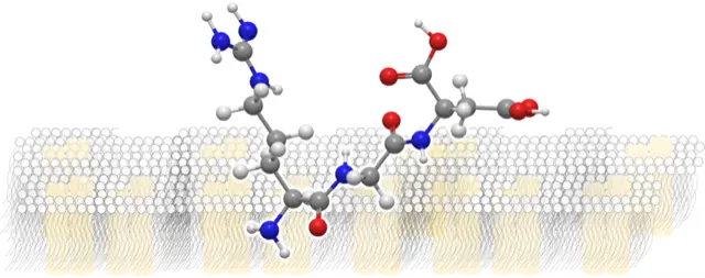 Blog - Product of the Month: cyclo-Arg-Gly-Asp (RGD) Peptides