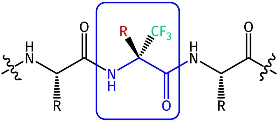 Blog - Trifluoromethylated Amino Acids