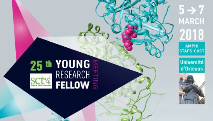 Blog - 25th Young Research Fellows meeting