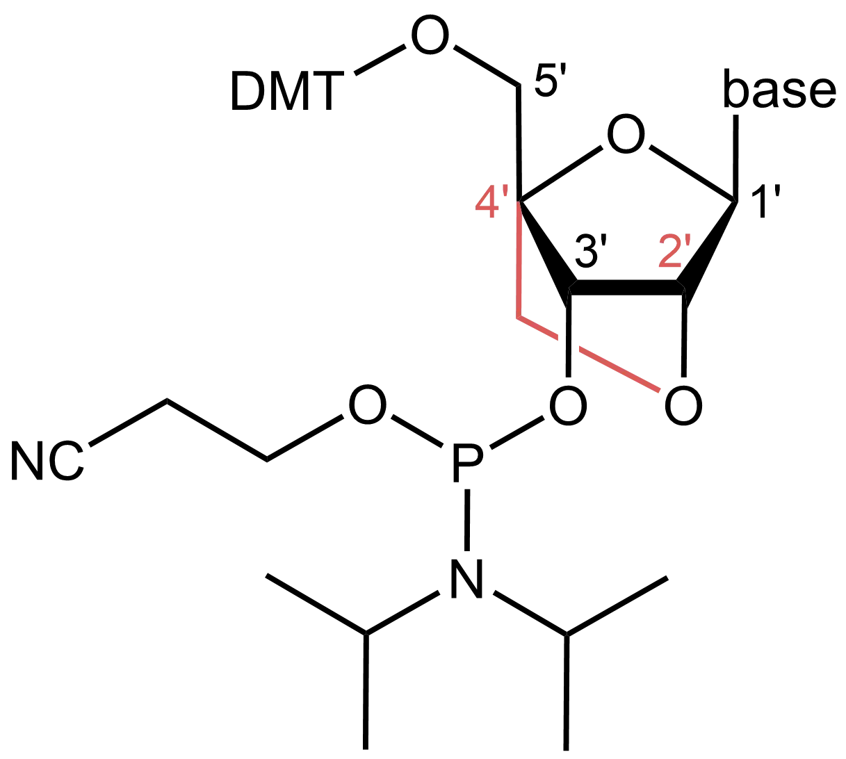 Blog - Locked Nucleic Acid (LNA) Phosphoramidites