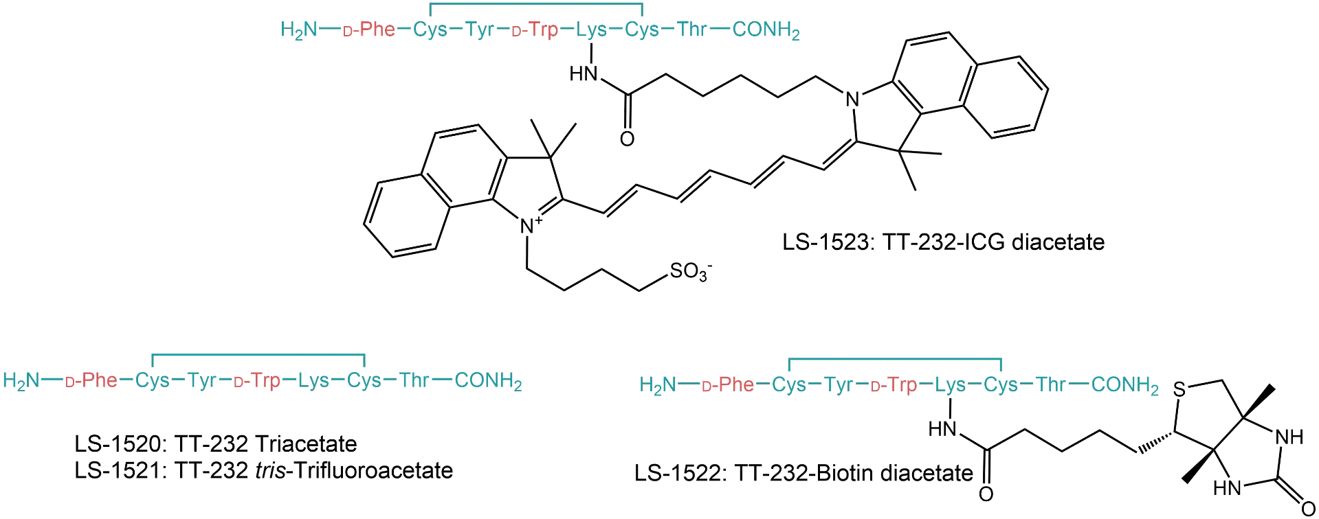 Blog - Blocking Tumor Growth with TT-232 and its Derivatives