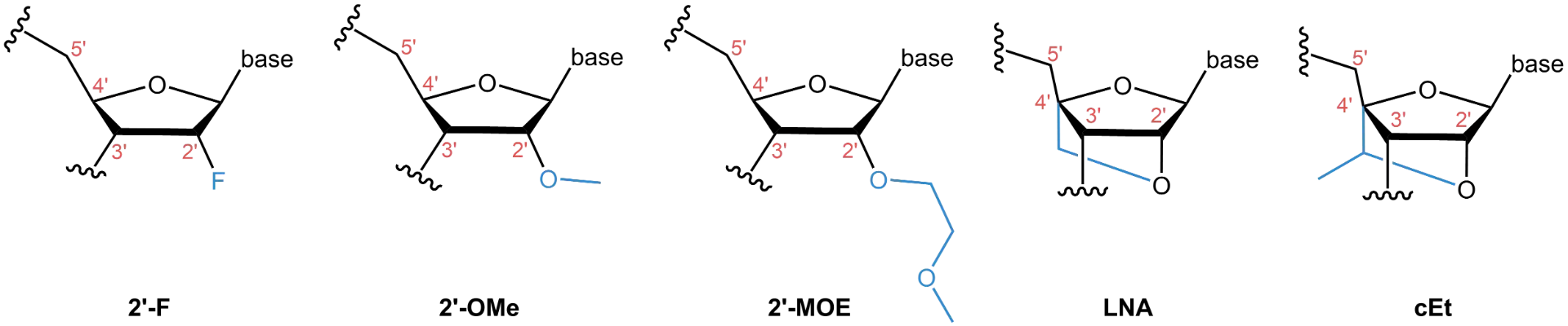 Blog - 2'-Modifications of Nucleic Acid Building Blocks