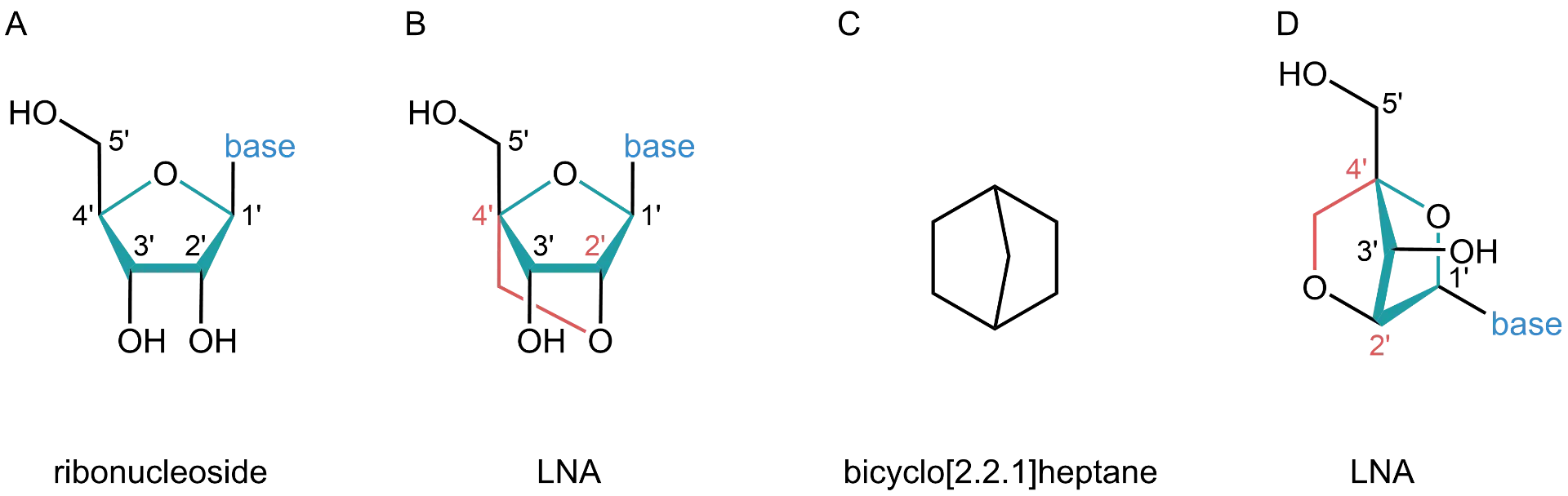 Blog - Locked Nucleic Acid (LNA) Phosphoramidites