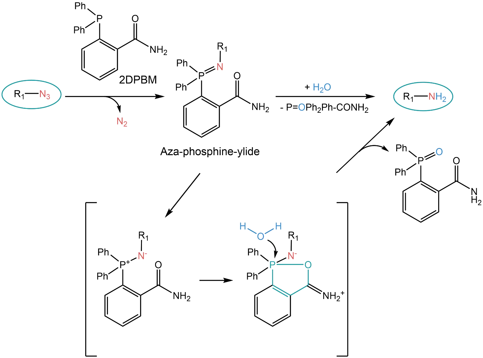 Blog - 2DPBM - A Biocompatible Azide Reducing Agent