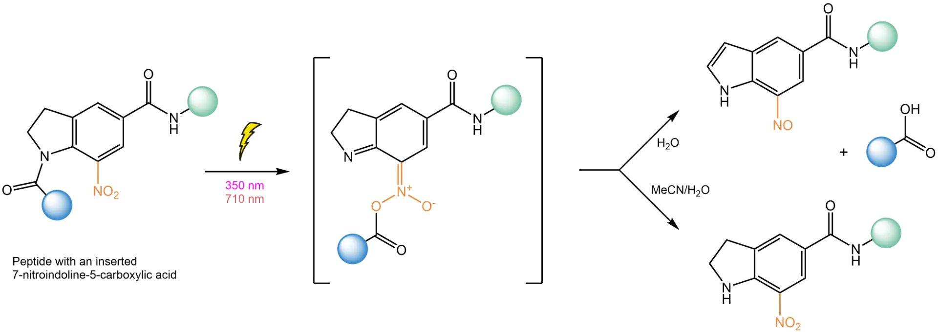 Blog - Photosensitive Nitroindoline Amino Acid Analogs