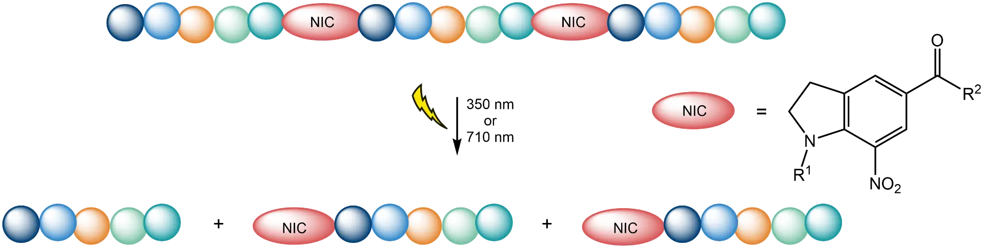 Blog - Photosensitive Nitroindoline Amino Acid Analogs