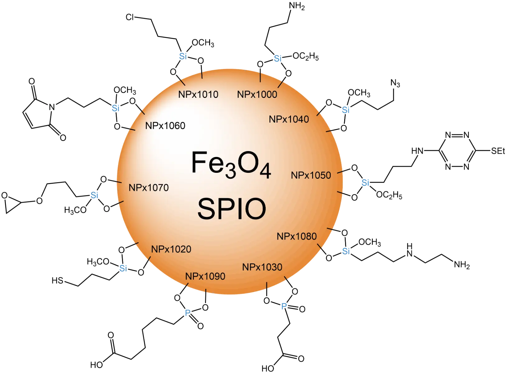 Blog - PotM: Functionalized Superparamagnetic Iron Oxide Nanoparticles
